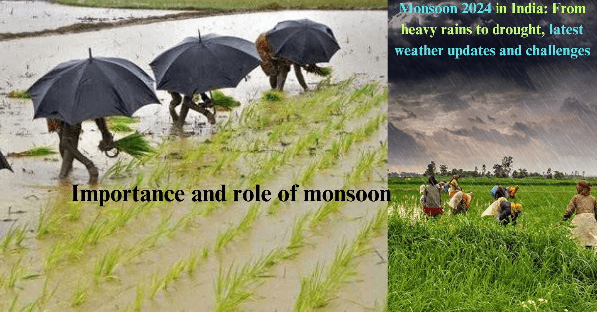 Monsoon 2024 in India: From heavy rains to drought, latest weather ...