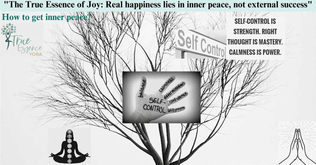"The True Essence of Joy: Real happiness lies in inner peace, not ...