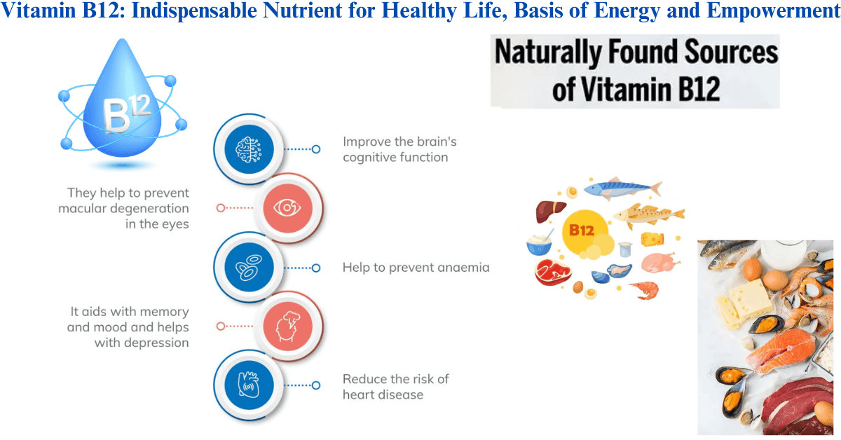 Vitamin B12: Indispensable Nutrient for Healthy Life, Basis of Energy ...
