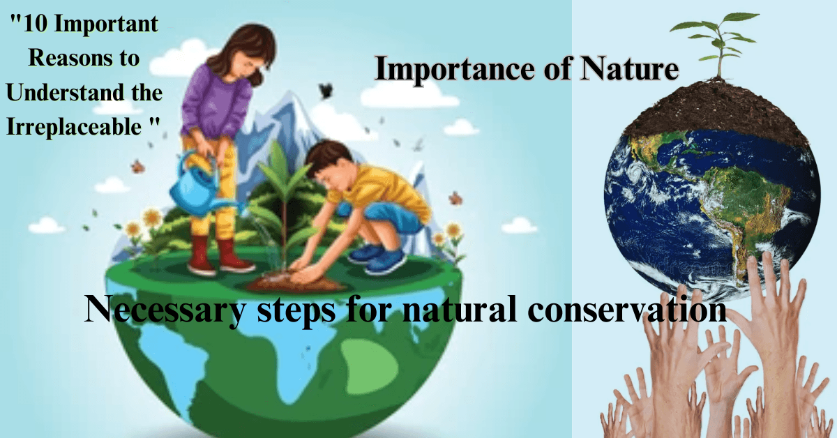 "Nature’s Vital Role: 10 Powerful Reasons to Cherish and Preserve Our ...