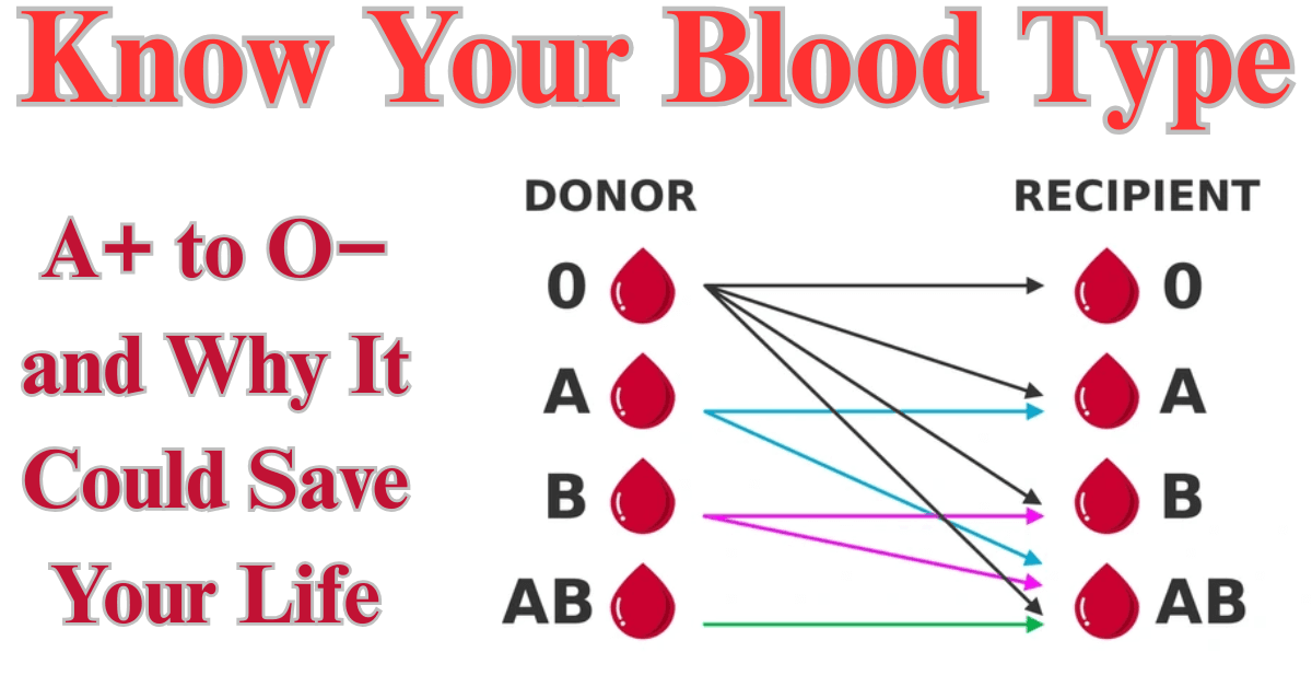 Know Your Blood Type: A+ to O− and Why It Could Save Your Life