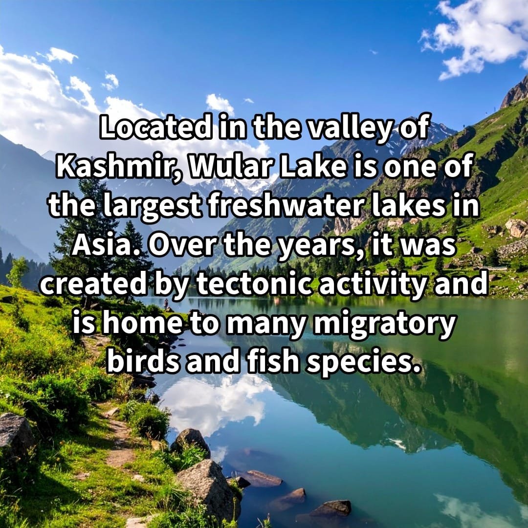 Wular Lake: Asia’s Majestic Freshwater Giant Hidden in Kashmir’s Valley